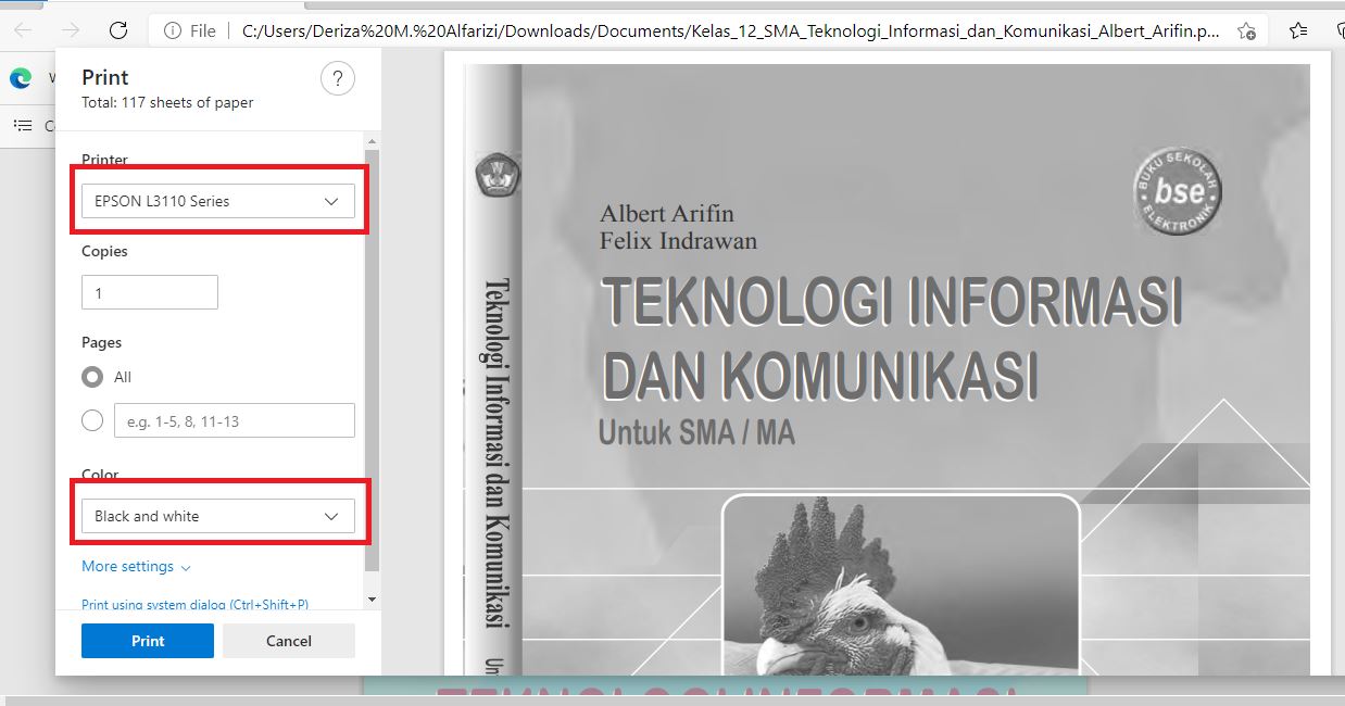 3 Cara Print Hitam Putih Menggunakan Printer Epson & Canon - Neicy Techno