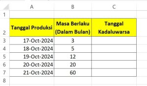 Cara Menghitung Expired Date di Excel - NeicyTekno
