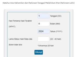 Cara Menghitung HPL (Hari Perkiraan Lahir) Online - Neicy Techno