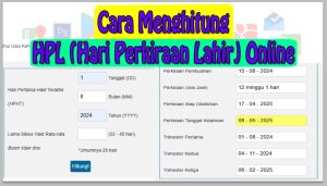 Cara Menghitung HPL (Hari Perkiraan Lahir) Online - Neicy Techno